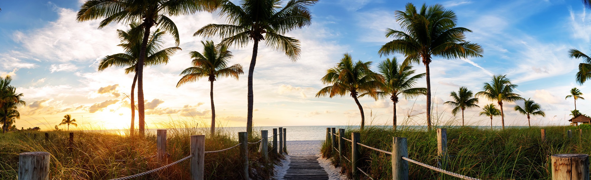 5 Ways to Prepare for the Florida Citizens Depopulation Program